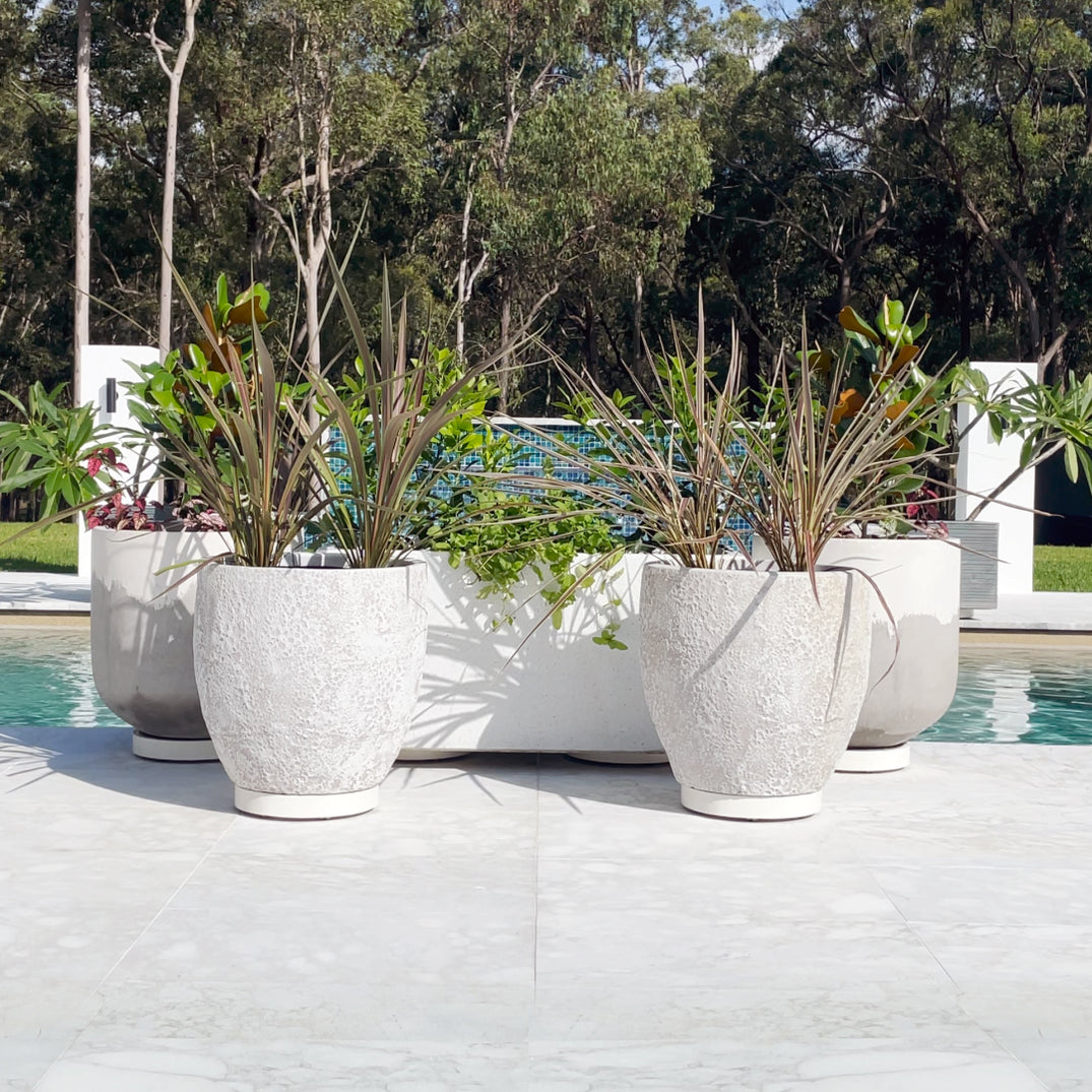 Omnia Plant Glider | Omnia Plant Glider | The Best Plant Stand on Wheels