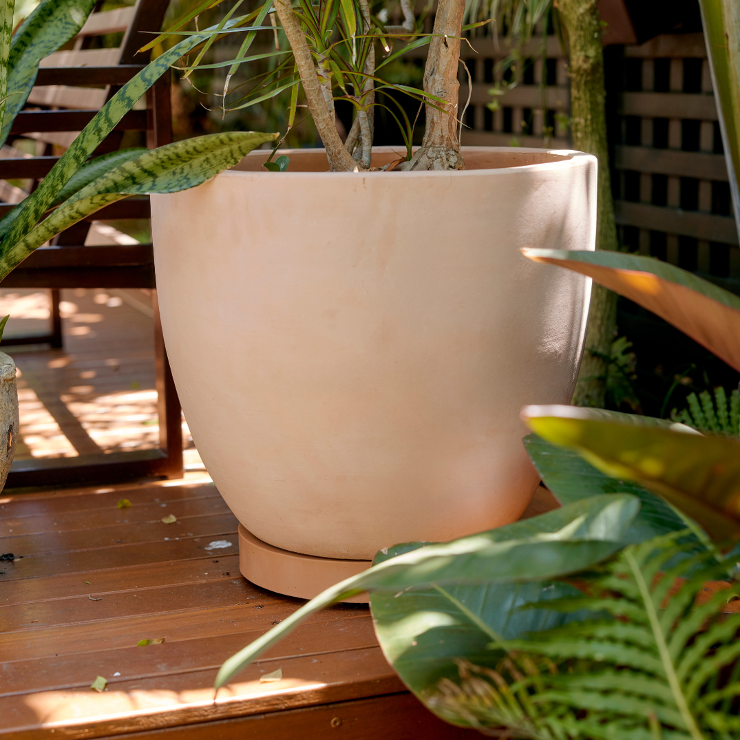 Omnia Plant Glider | The Best Plant Stand on Wheels